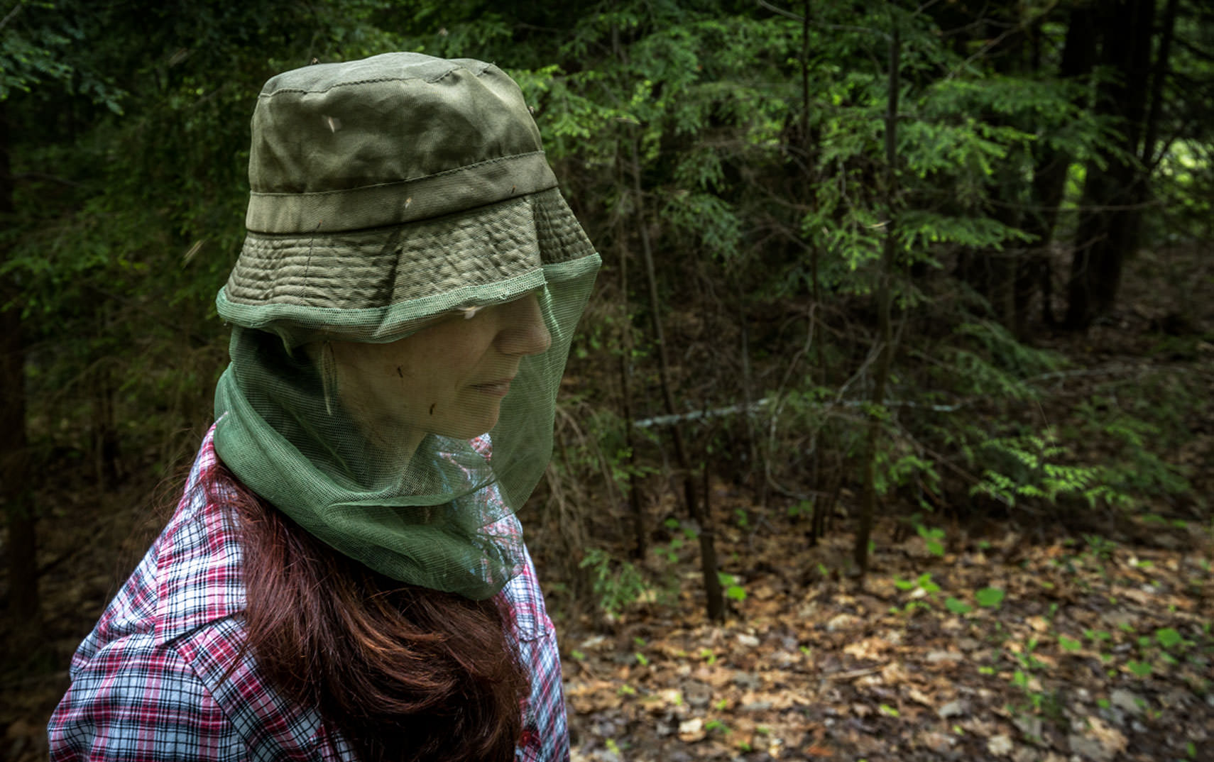 Black Fly Battle Tactics – Pure Muskoka