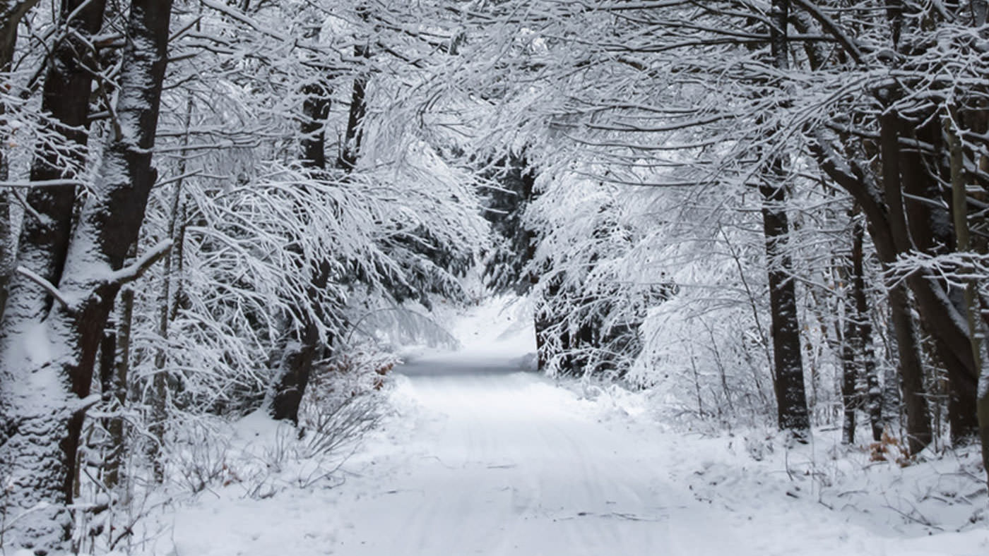 10 Reasons We Love Muskoka Winters (and you should too) – Pure Muskoka