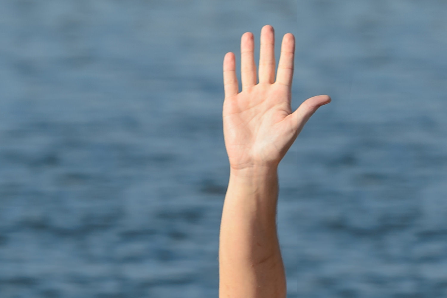 Waving on The Water – Pure Muskoka
